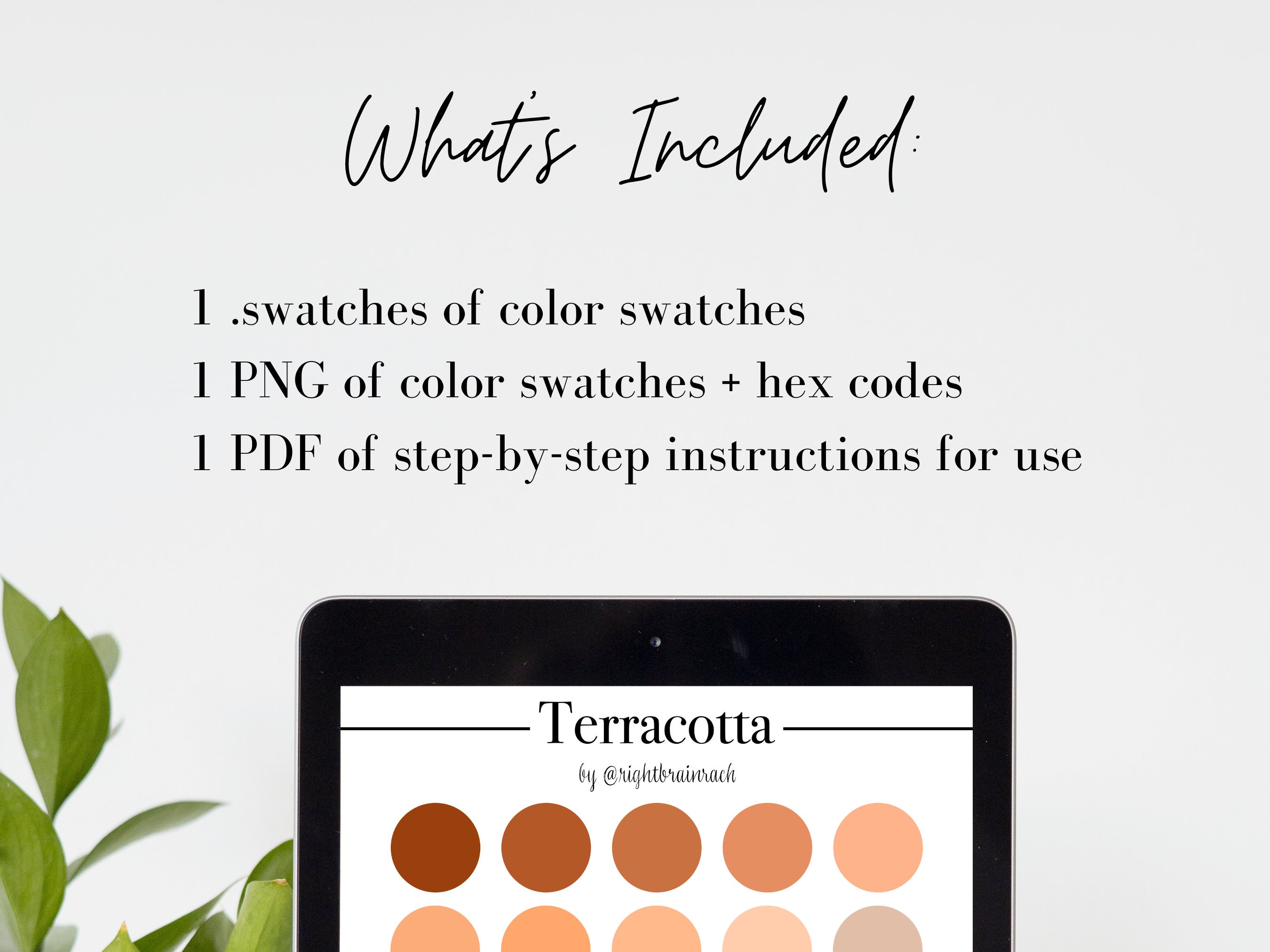 Terracotta Procreate Color Palette 30 Color Swatches Neutral, Orange ...