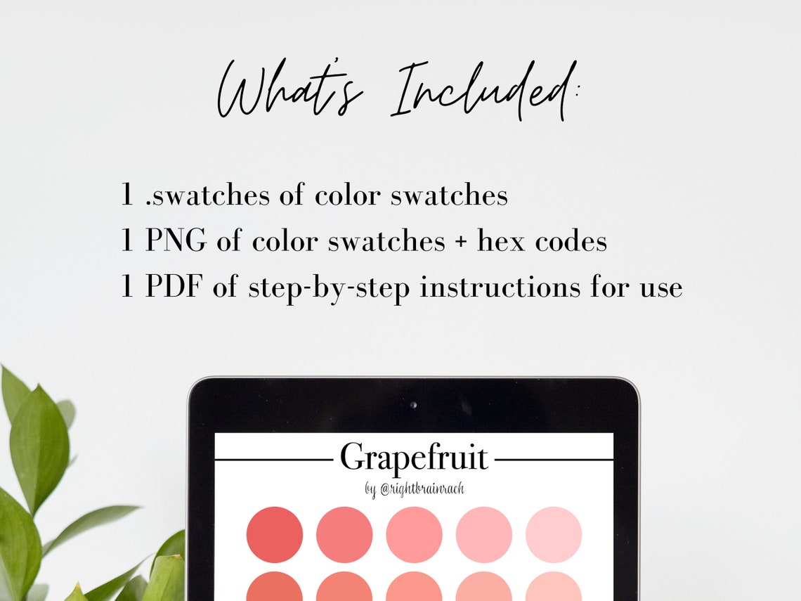 Grapefruit Procreate Color Palette 30 Color Swatches Bright, Rose Pink, Peachy Digital Download ...