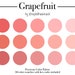 Grapefruit Procreate Color Palette 30 Color Swatches Bright, Rose Pink ...