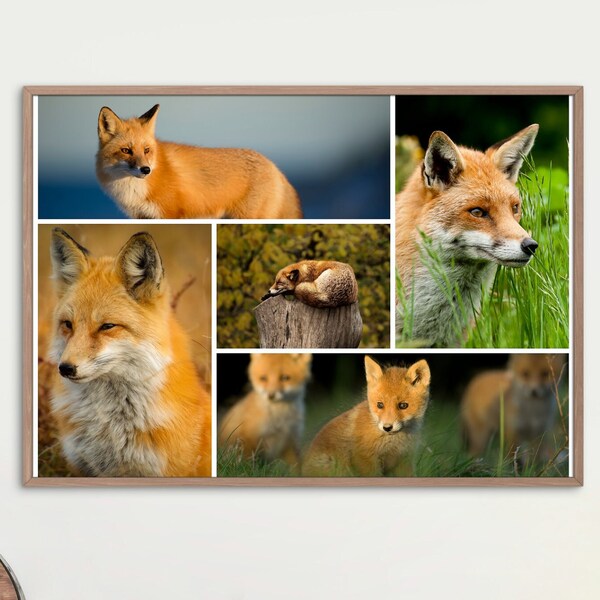 Fox Printable - Etsy