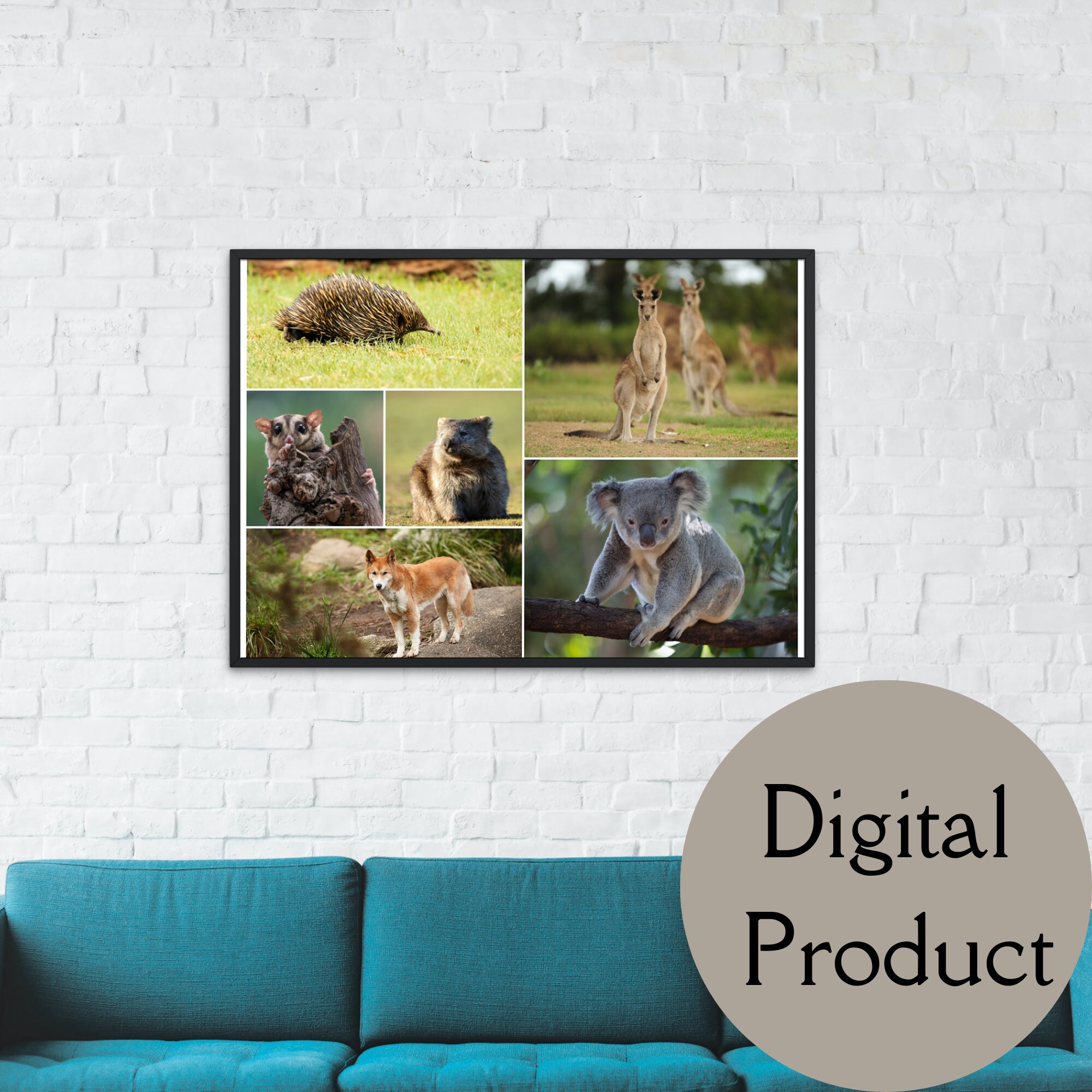 Australian Animal Printable Wall Art Collage Nature Photography Collage ...