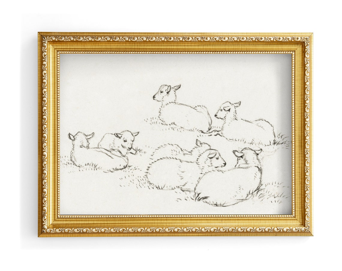 Vintage Sheep Sketch Sheep Line Art Pencil Sketch Drawing - Etsy