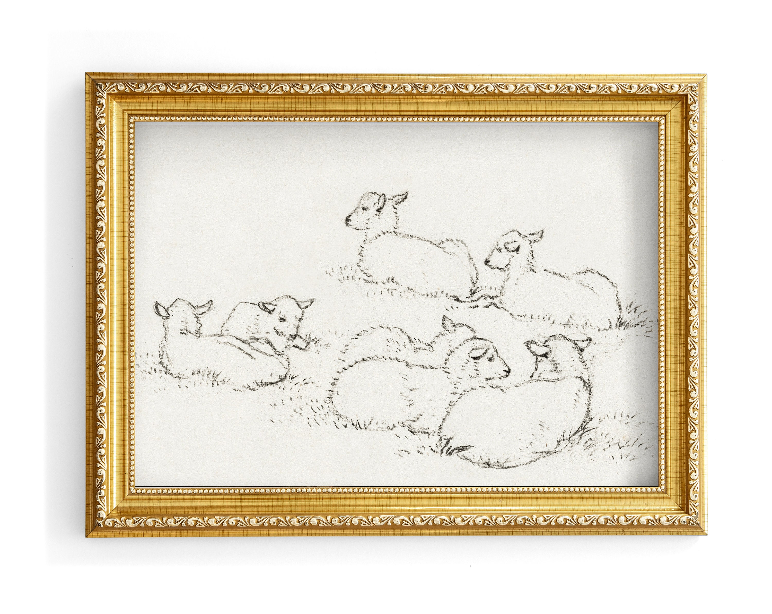 Vintage Sheep Sketch Sheep Line Art Pencil Sketch Drawing Sheep ...