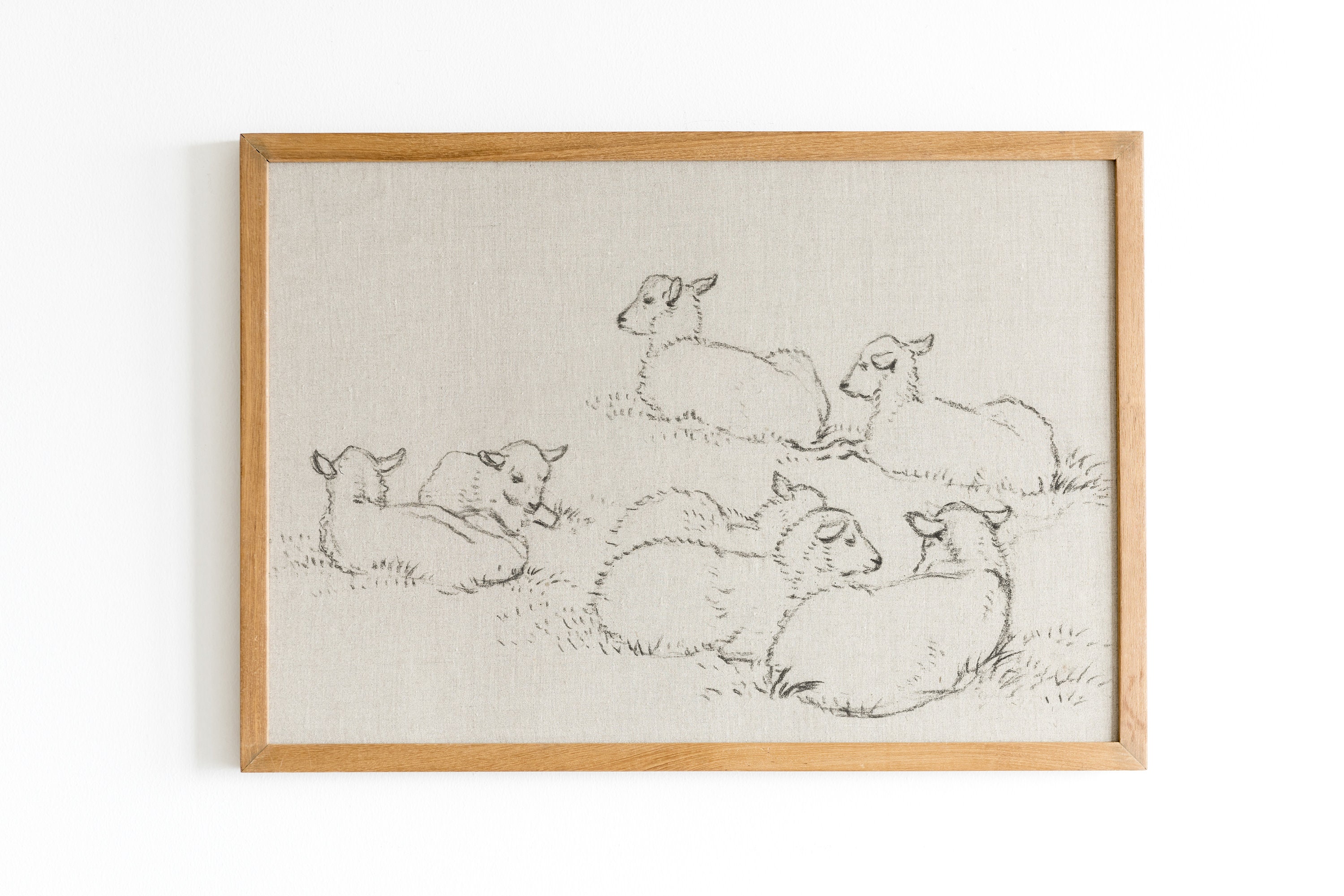 Vintage Sheep Sketch Sheep Line Art Pencil Sketch Drawing Sheep ...