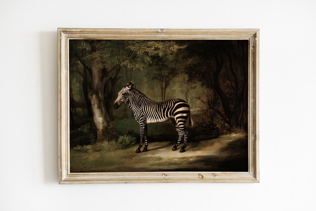 Vintage Zebra Print | Antique Zebra Oil Painting | Standing Zebra in ...