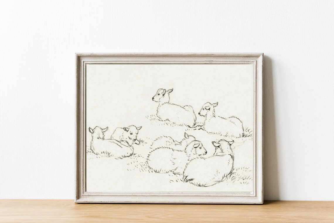 Vintage Sheep Sketch Art Print | Minimalist Graphite Drawing (digital ...