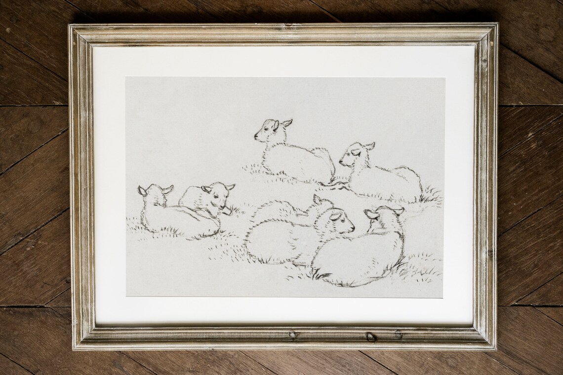 Vintage Sheep Sketch Sheep Line Art Pencil Sketch Drawing - Etsy