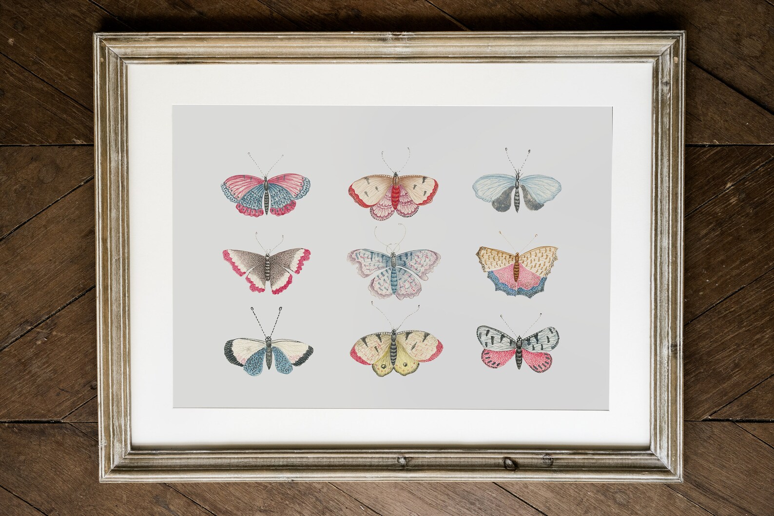 Vintage Monarch Butterfly Illustration Print | Boho Art for Girls' Room ...
