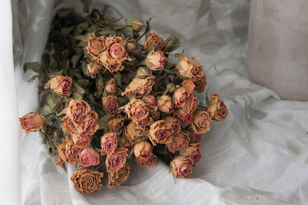 Bulk Dried Red or Pink Mini Roses, Real Spray Garden Roses, DIY ...