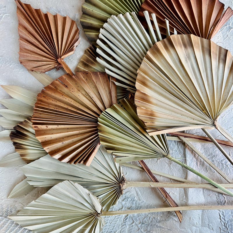 Palm Leaf Hand Fans - Etsy