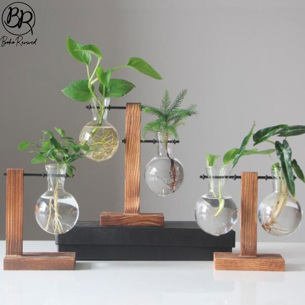 Glass Propagation - Etsy