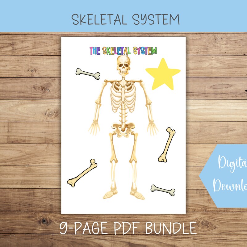 Busy Book Printable - Etsy