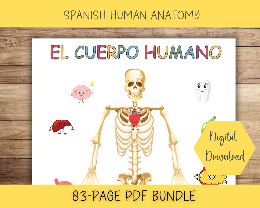 SPANISH Human Anatomy Busy Book Printable Preschool Worksheets ...