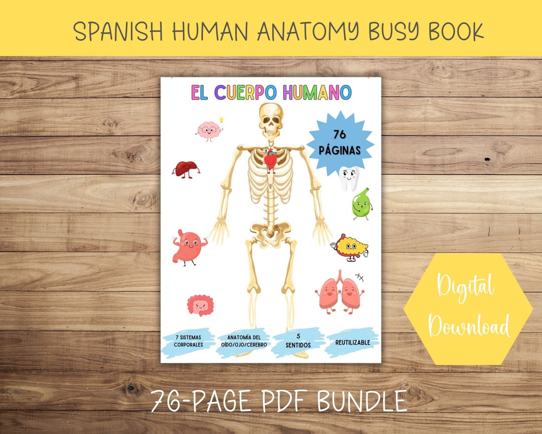 SPANISH Human Anatomy Busy Book Printable Preschool Worksheets ...