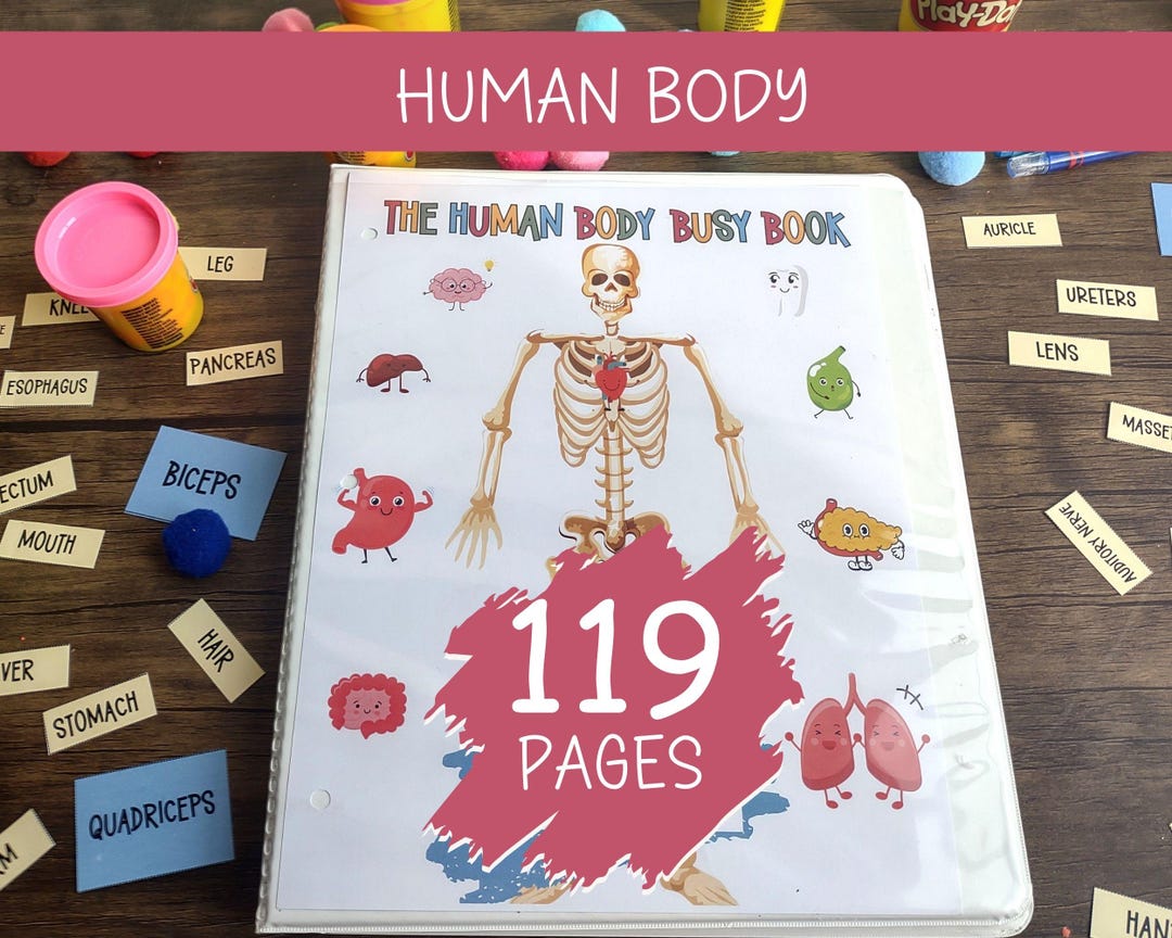 Human Body Busy Book Printable Quiet Book Human Anatomy for Kids Body ...