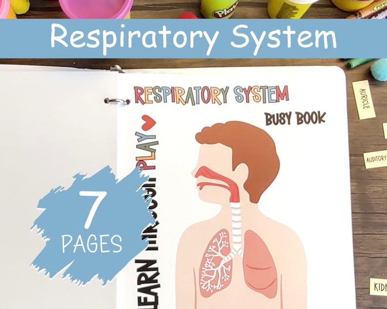 Respiratory System Busy Book Printable Quiet Book Human Anatomy for ...
