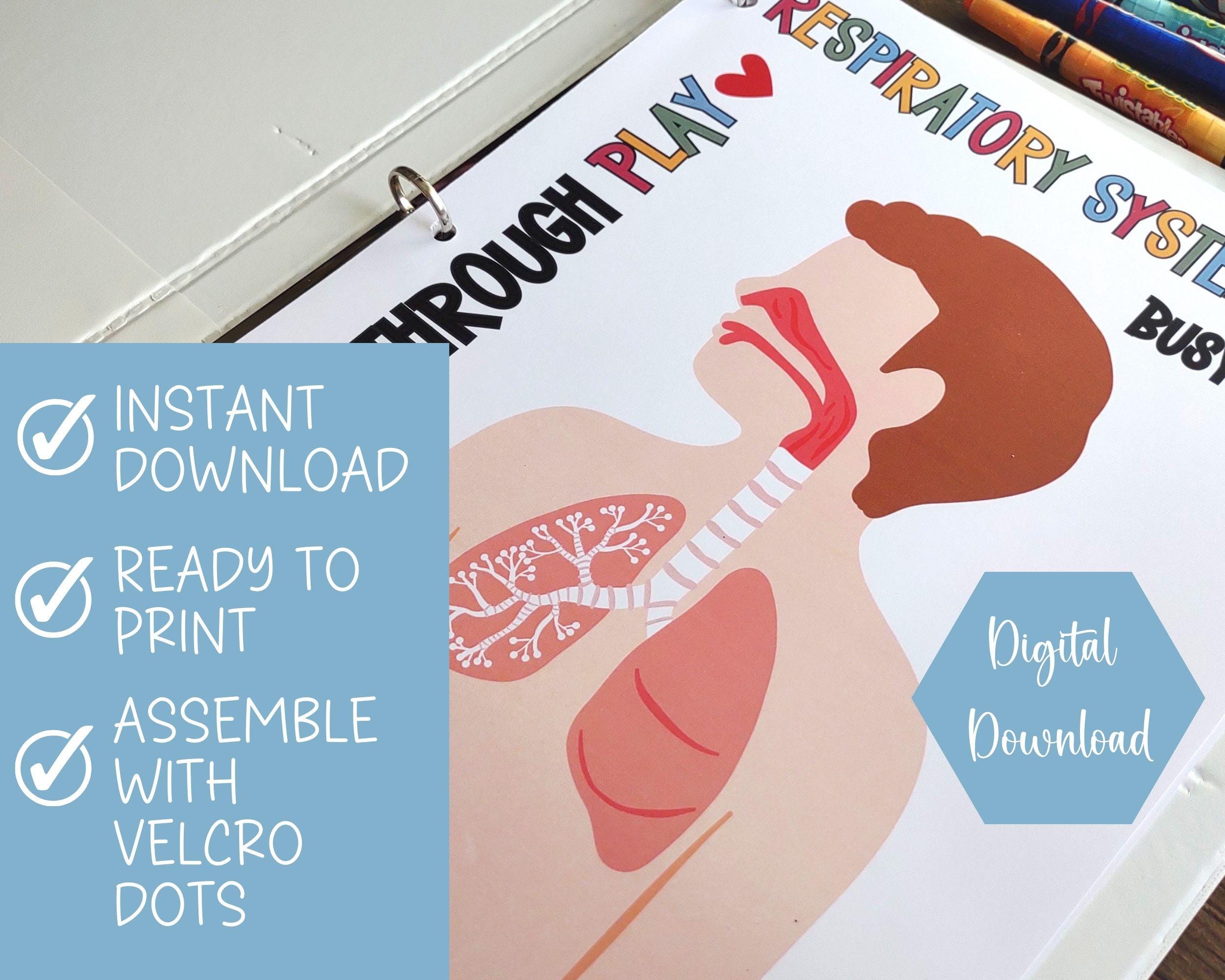 Respiratory System Busy Book Printable Quiet Book Human Anatomy for ...