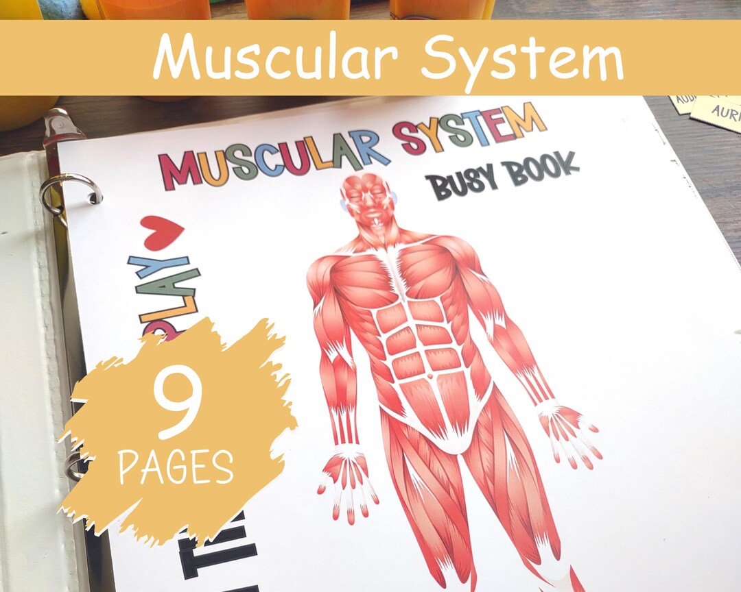 Muscular System Busy Book Printable Quiet Book Human Anatomy for Kids ...