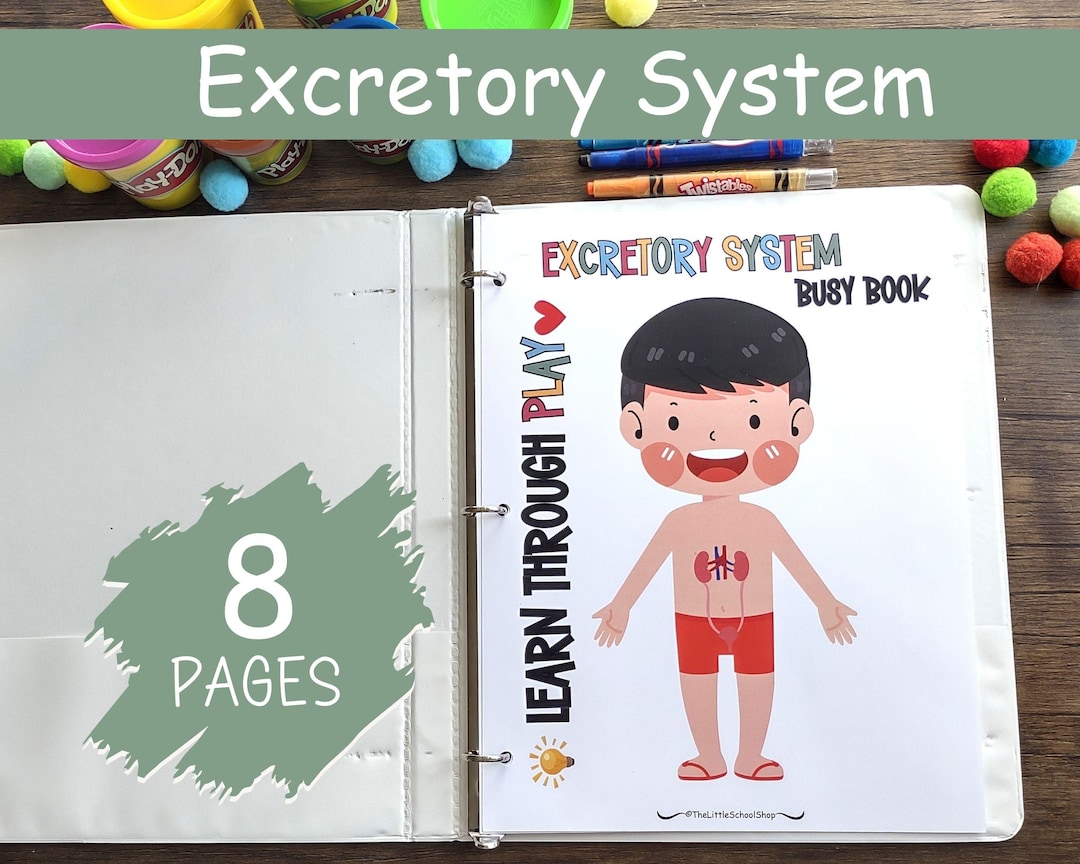Excretory System Busy Book Printable Quiet Book Human Anatomy for Kids ...