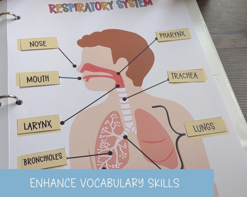 Respiratory System Busy Book Printable Quiet Book Human Anatomy for ...