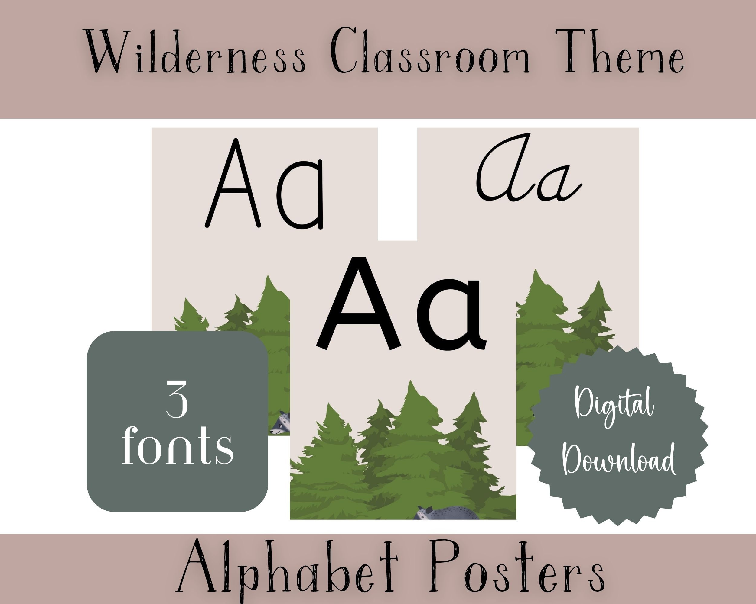 Alphabet Posters, Classroom Decorations, Teacher Printables, Editable ...