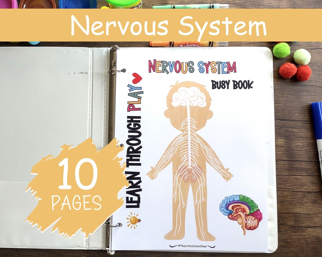 Nervous System Busy Book Printable Quiet Book Human Anatomy for Kids ...