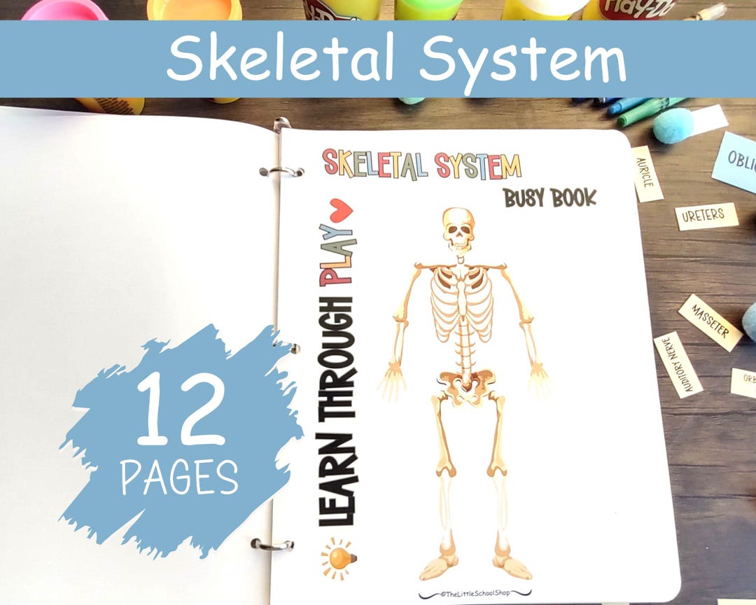 Skeletal System Busy Book: Human Anatomy Learning (PDF) - Etsy