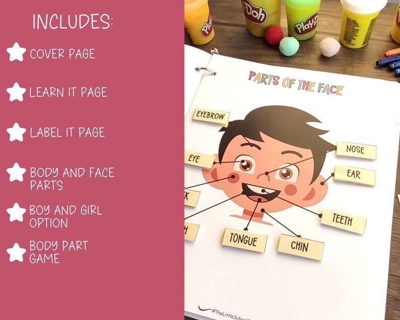 Body Parts Busy Book, Human Anatomy Learning (PDF) - Etsy