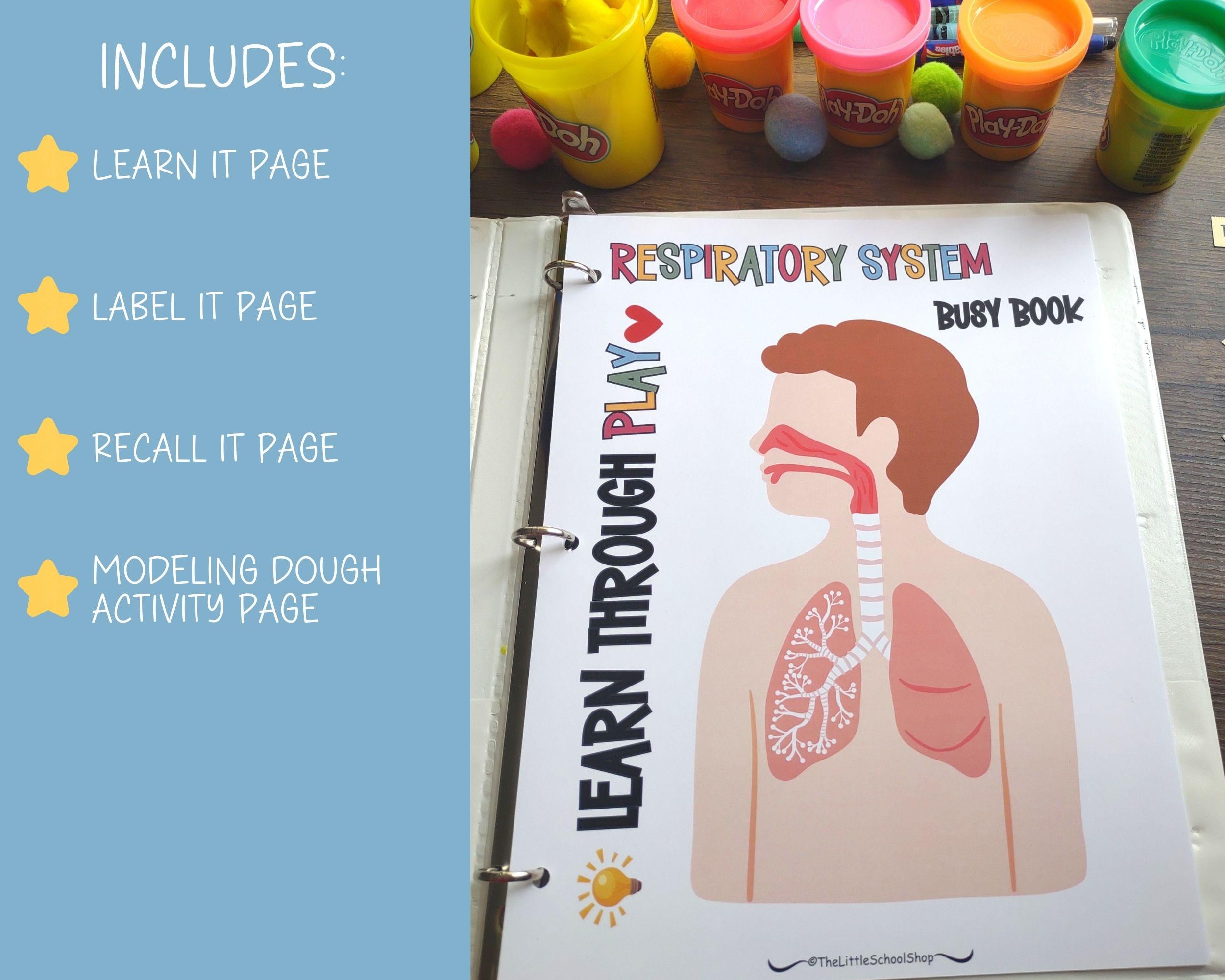 Respiratory System Busy Book Printable Quiet Book Human Anatomy for ...