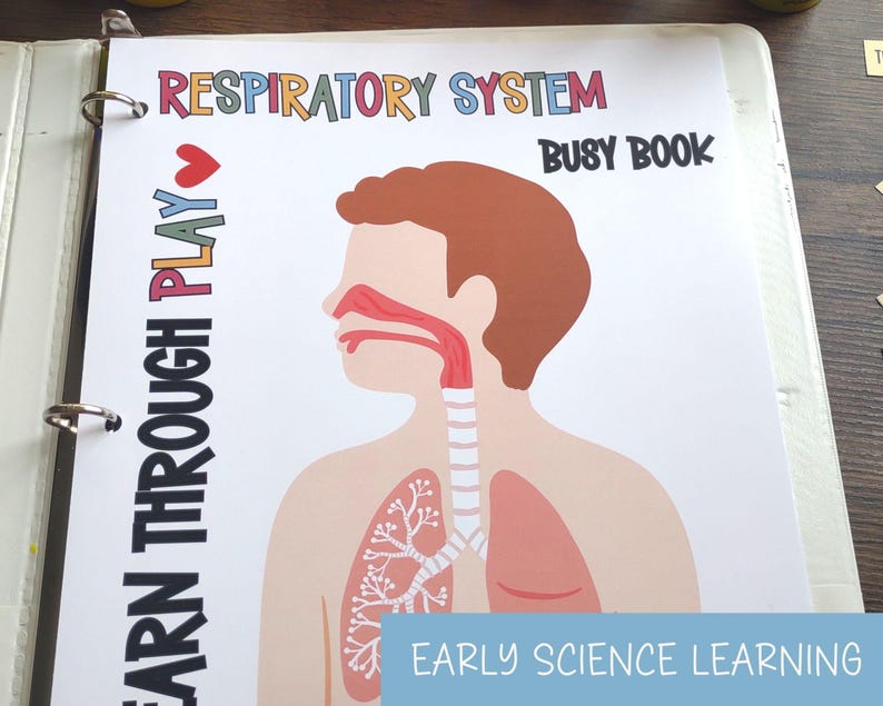 Human Anatomy - Respiratory System, Busy Book for Preschool, Early ...