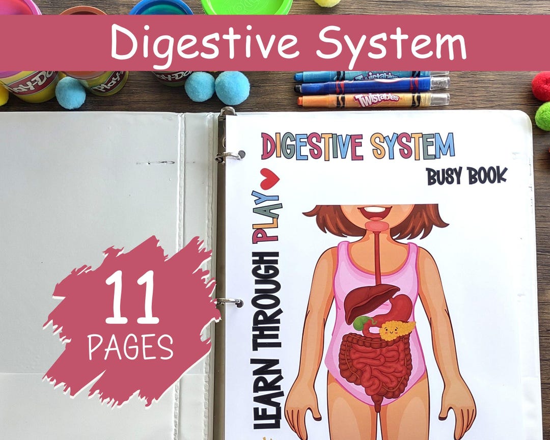 Digestive System Busy Book Printable Quiet Book Human Anatomy for Kids ...