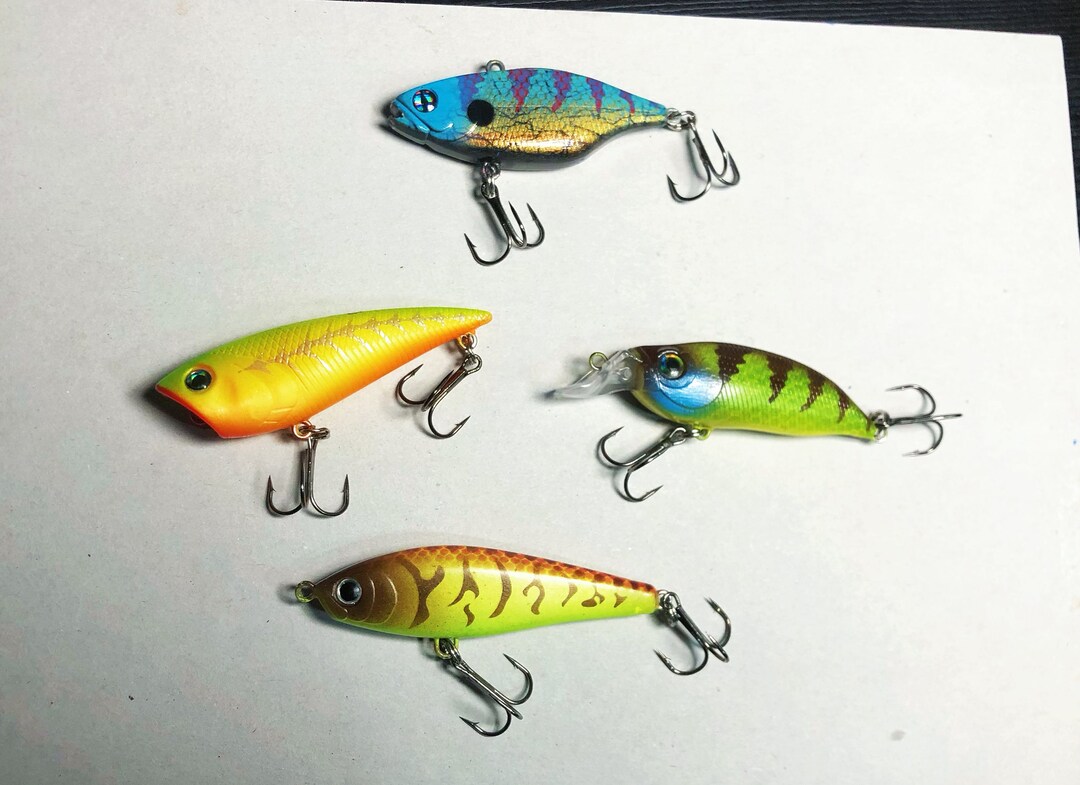 Custom Painted Crankbait, Bass Fishing Bait, Topwater Popper Lure ...