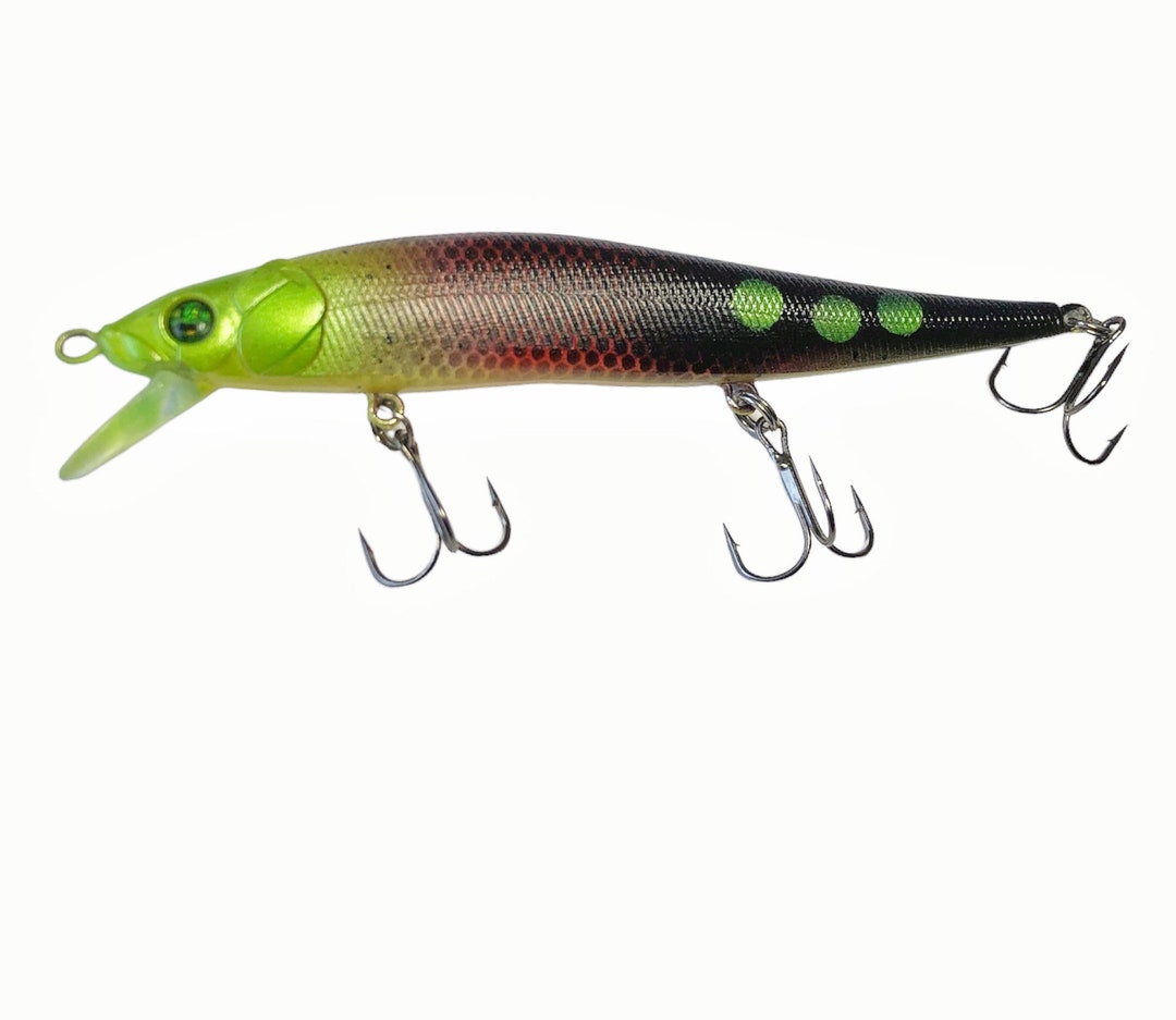 Custom Painted Jerkbait - Wakin Bruiser ONETEN+1 Suspending BASS TROUT Fishing Lure - Etsy