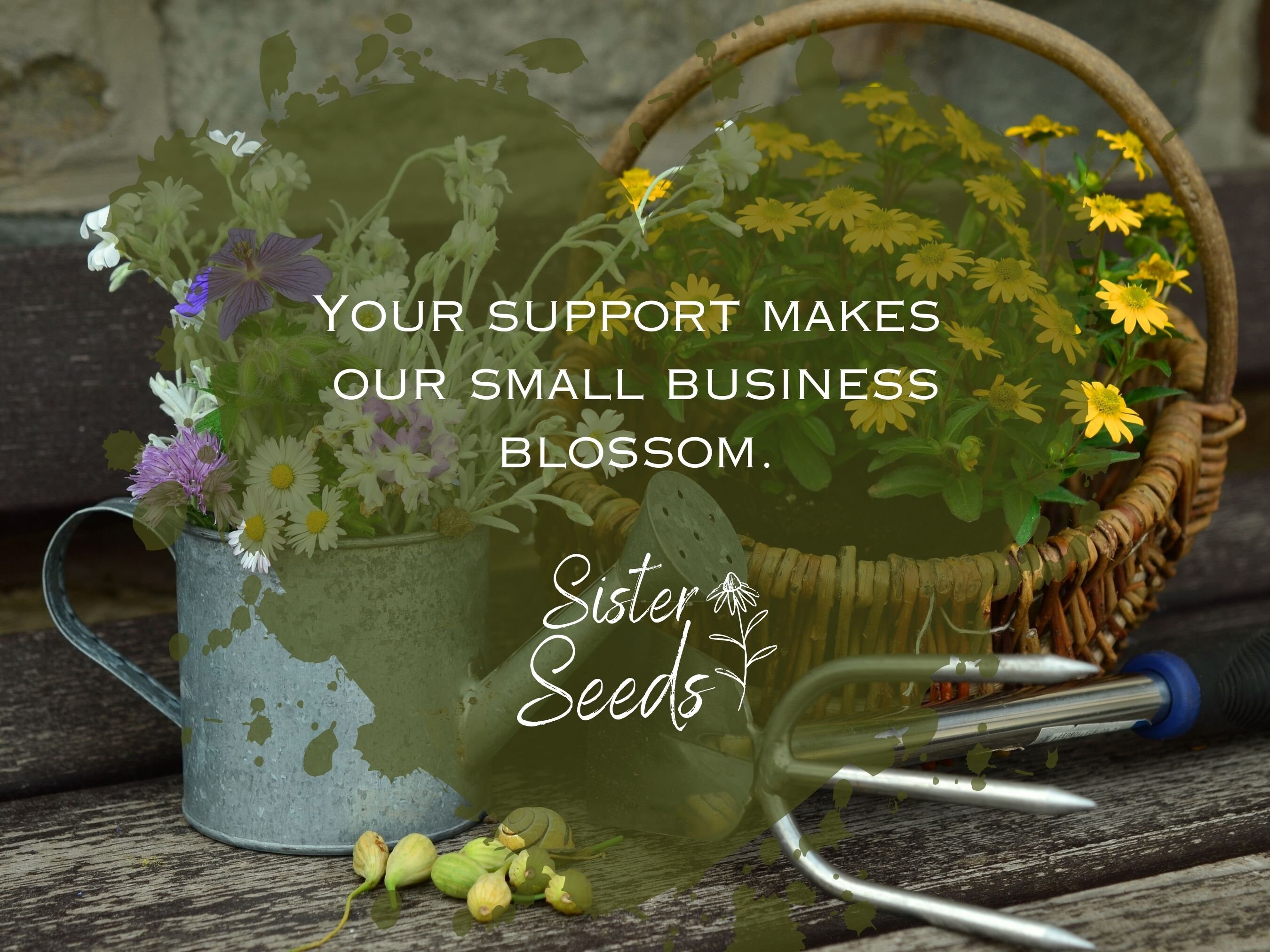 Digital Download Plant Profile Log – Printable Garden Record, Track ...