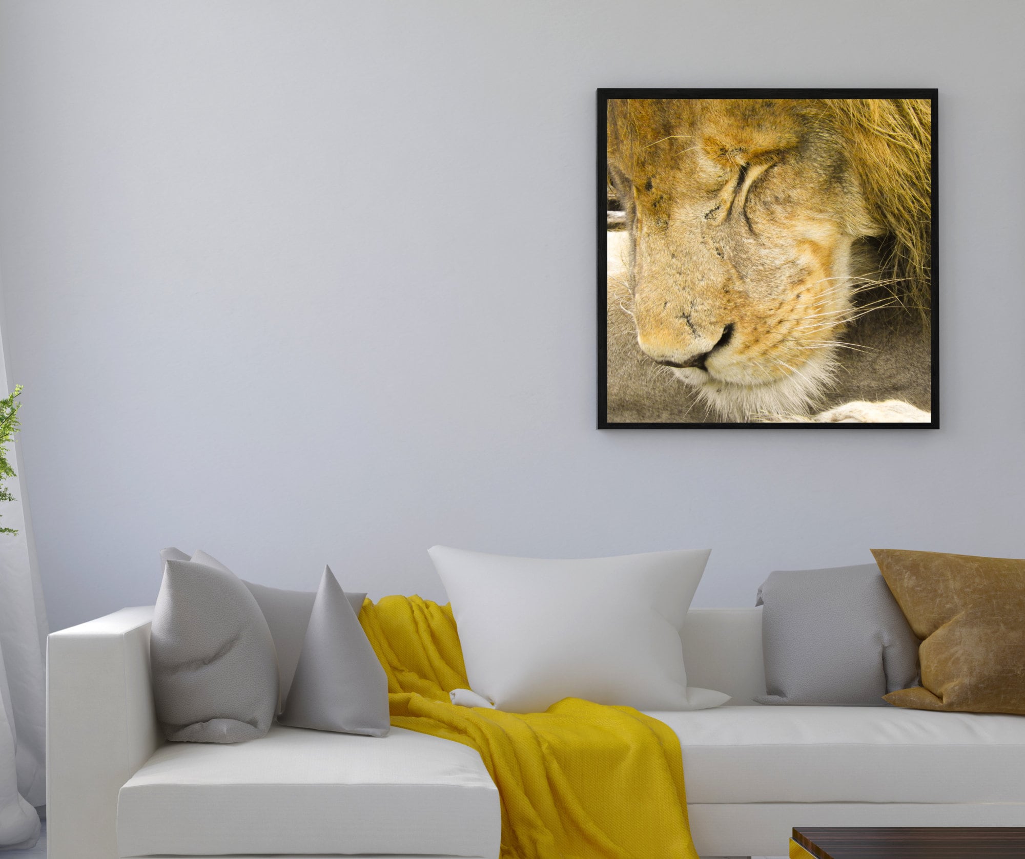 Sleeping Lion - Lion King of the Jungle - Etsy