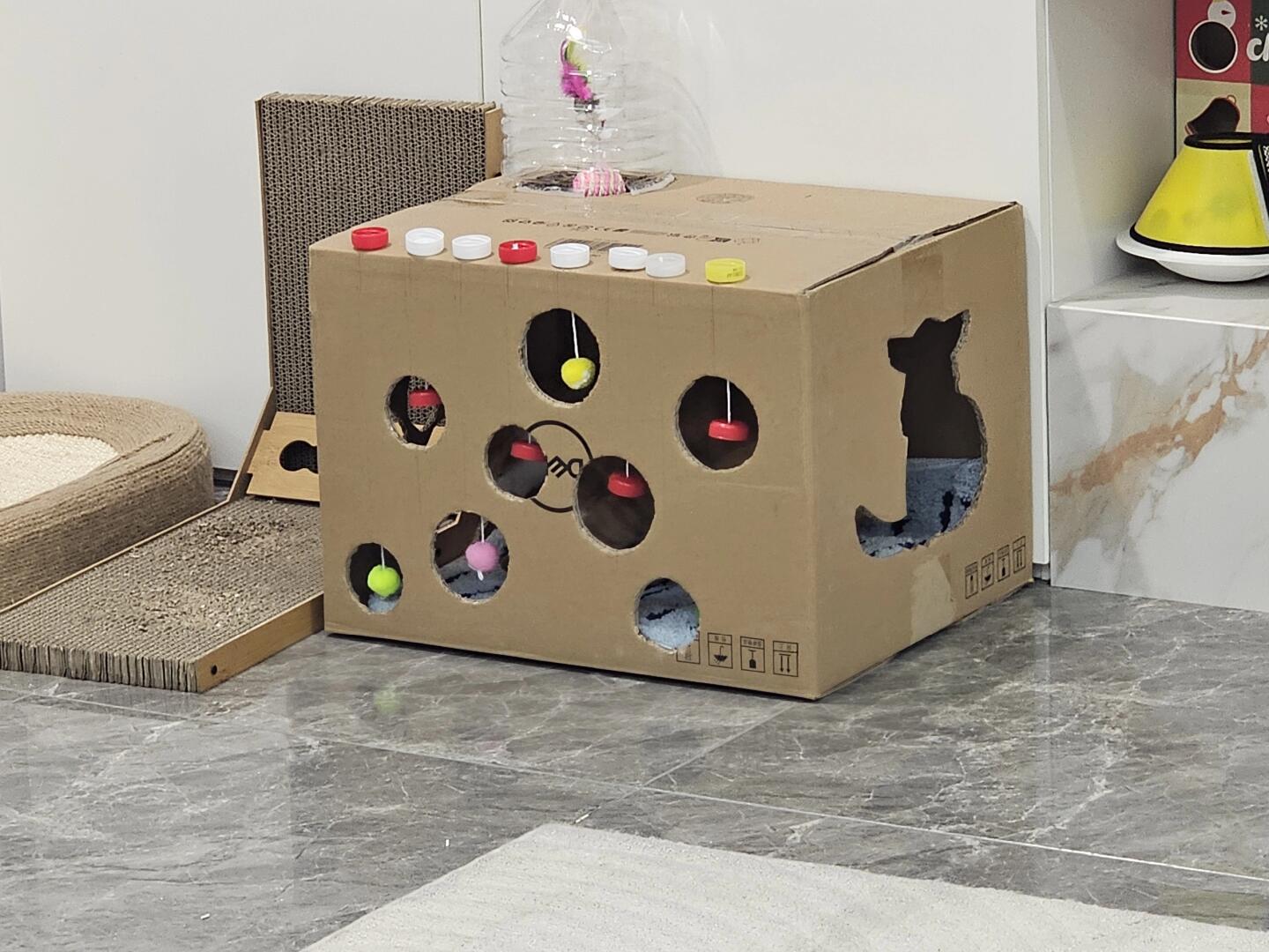 The 5-minute Cat Enrichment Guide: 20 Instant DIY Toys to Beat Boredom ...