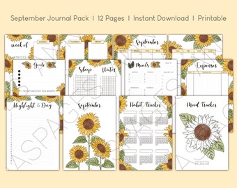 Yearly Weather Tracker Dot Journal Color & Colorless - Etsy