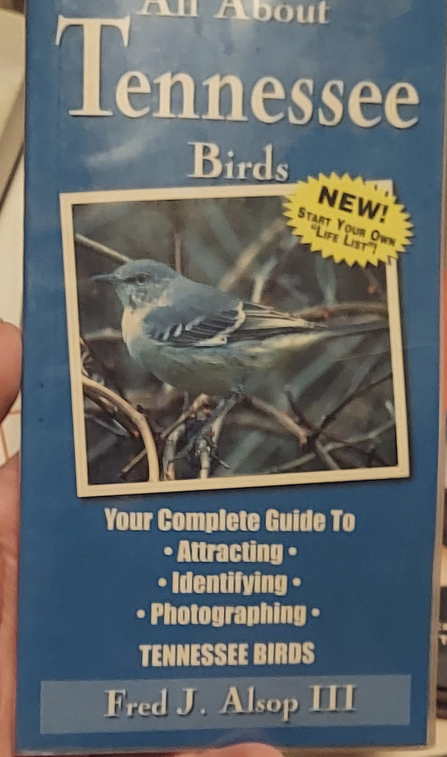 All About Tennessee Birds: Your Complete Guide Paperback - Etsy