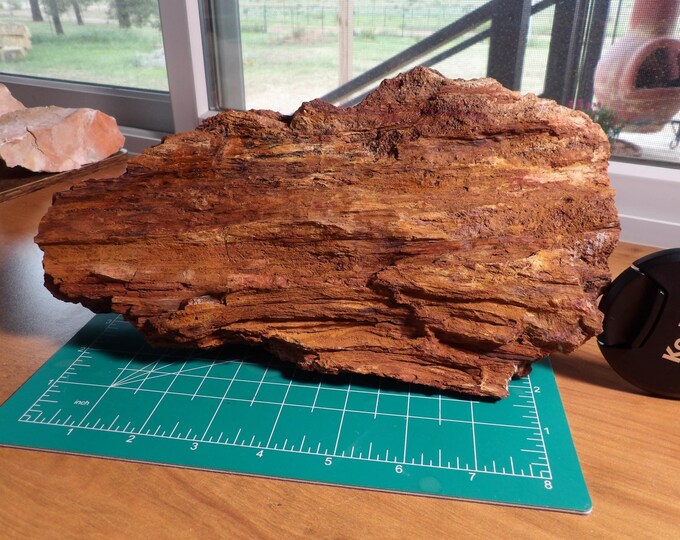 4.7 Lb Petrified Wood: Natural Large Stone Mineral Semi-precious Fossil ...