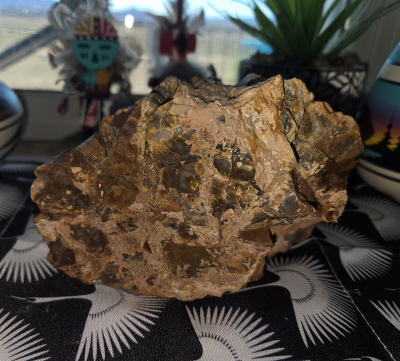 5.75 Lb Petrified Wood: Natural Large Stone Mineral Semi-precious ...