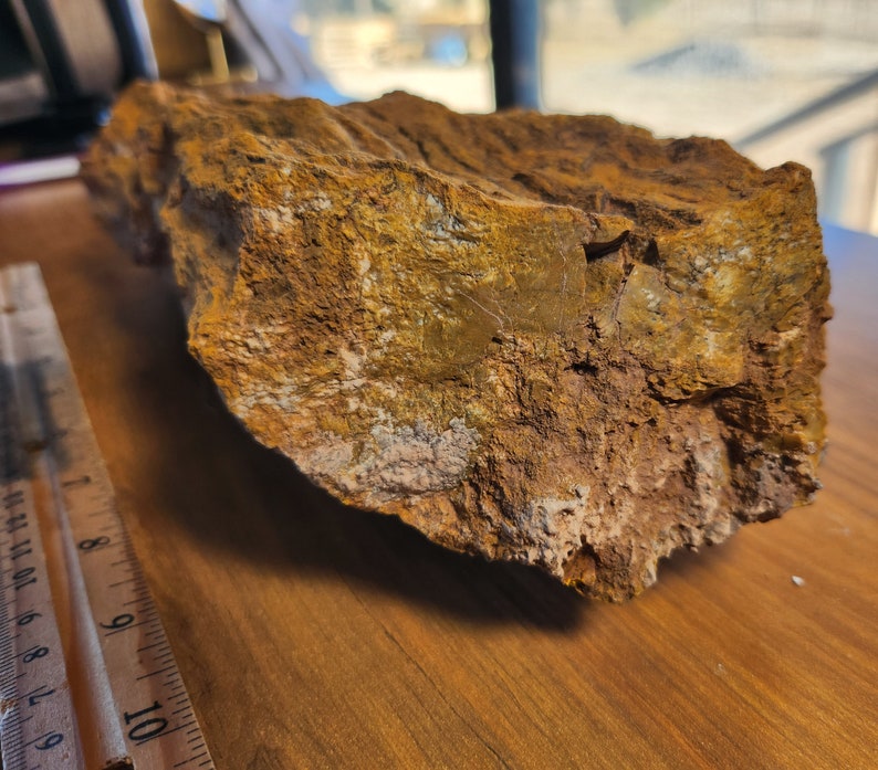 6lb Golden Petrified Wood Mineral Sample From Northern Arizona ...