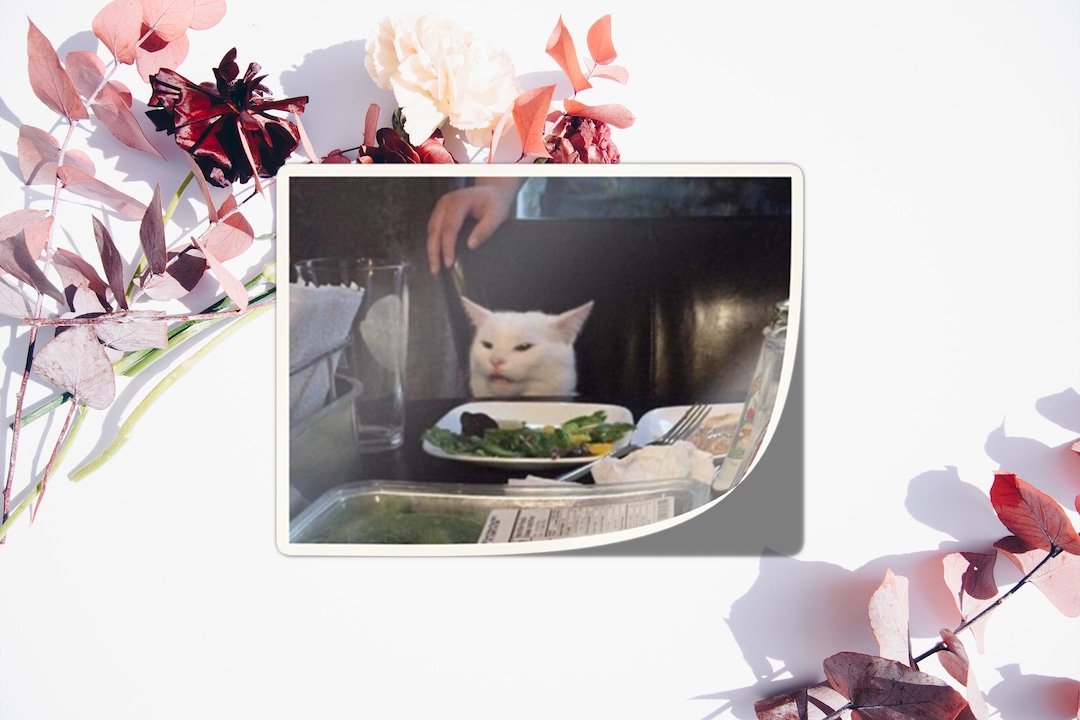 Girl Yelling at Cat Dinner Meme Sticker for Cars Vehicles - Etsy