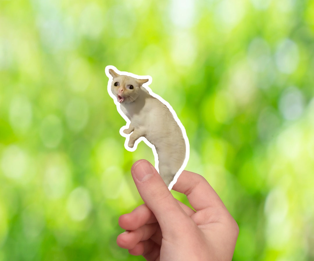 Coughing Cat Toddler Funny Sticker Outdoor Indoor Sticker Decal for ...