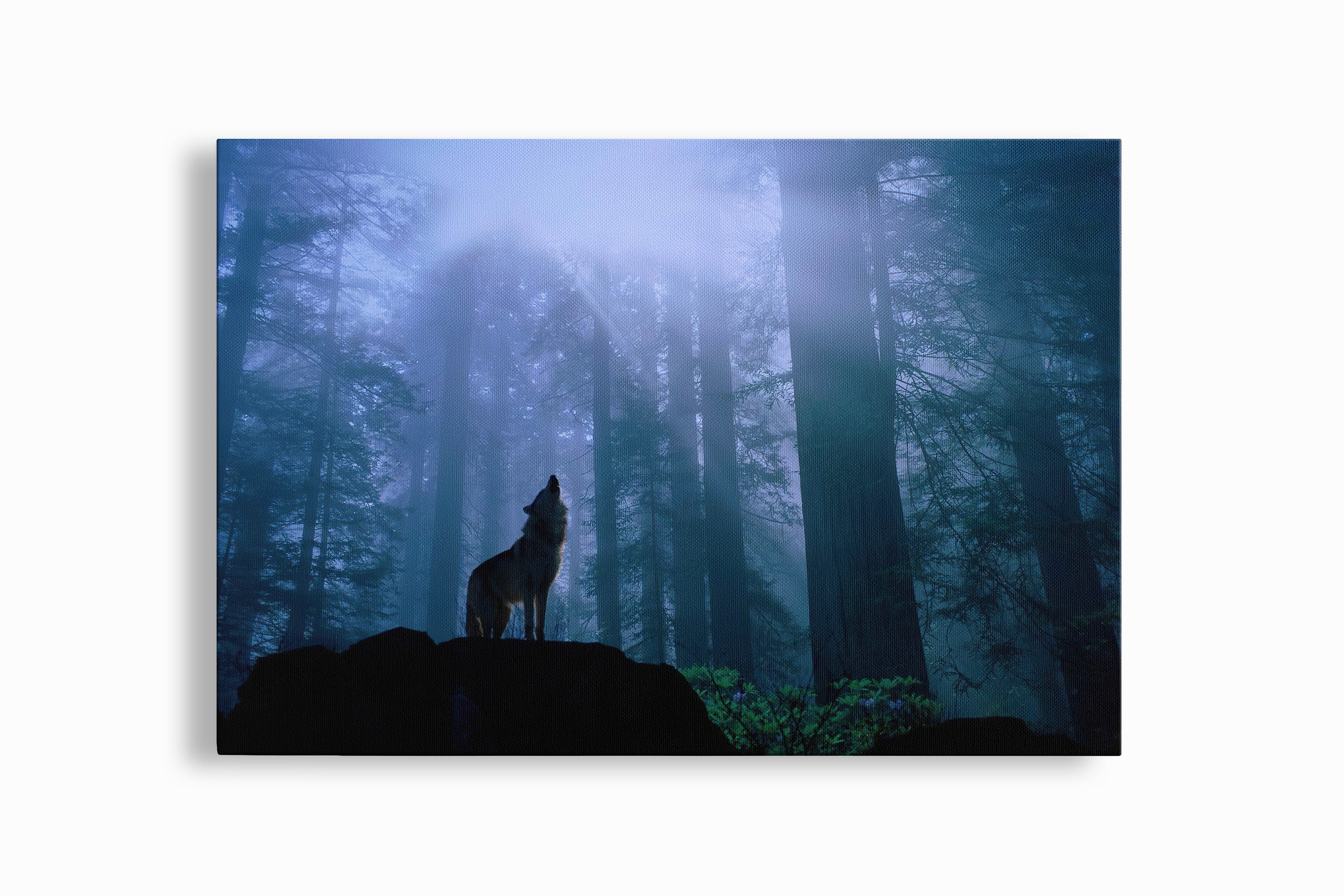 Howling Wolf in Enchanted Forest Framed Canvas Wall Art Print - Etsy