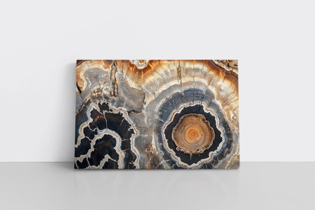Charcoal Petrified Wood Tree Stump Rings Framed Canvas Wall Art Print ...