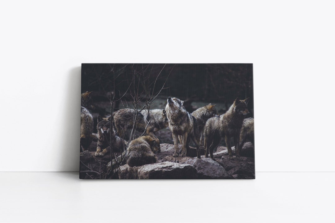 Howling Wolf Pack Artwork Timber Wolf Print on Framed Canvas Wall Art ...