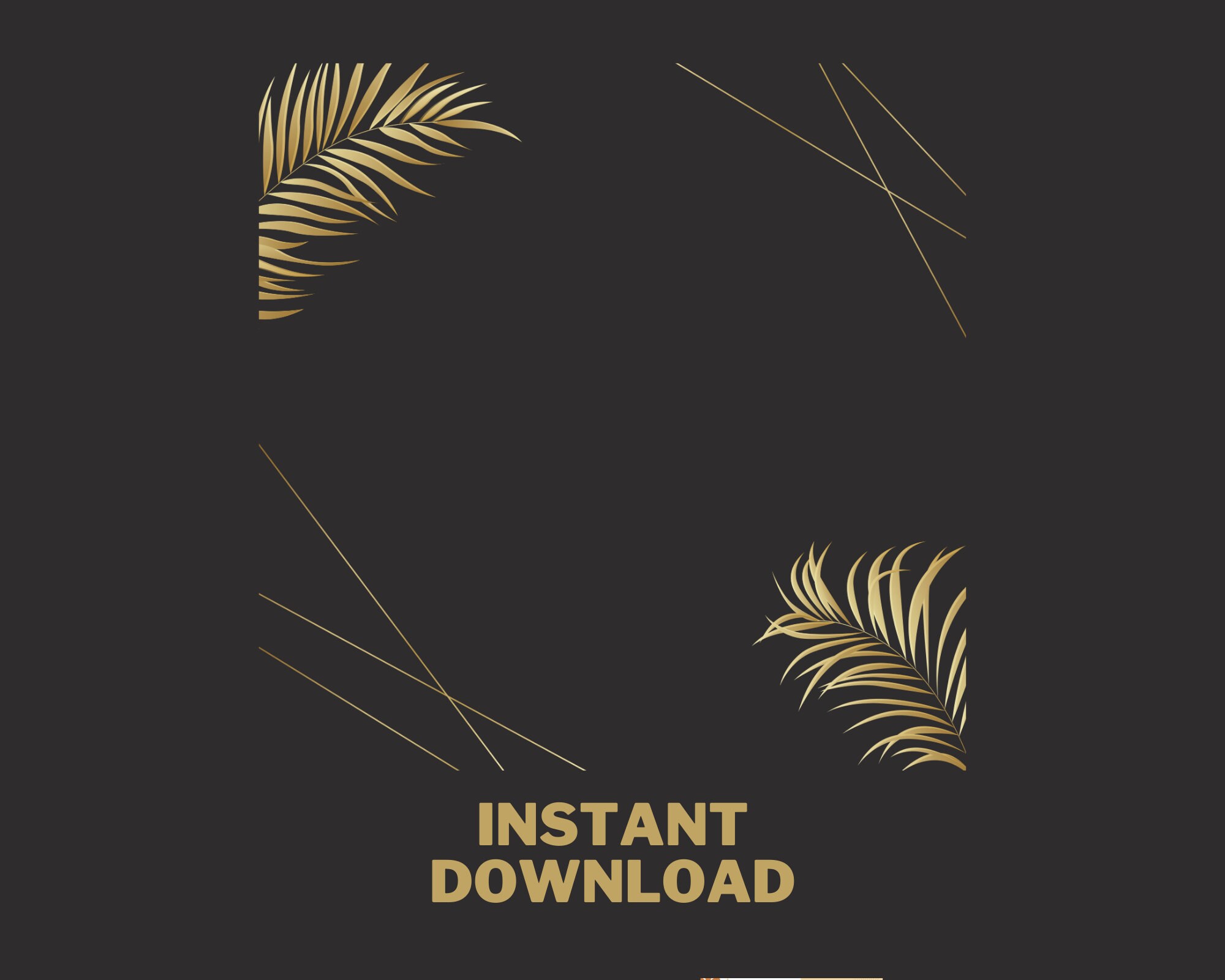 360 Photo Booth Overlay Template,360 Spinner Booth Design, Photo Booth ...