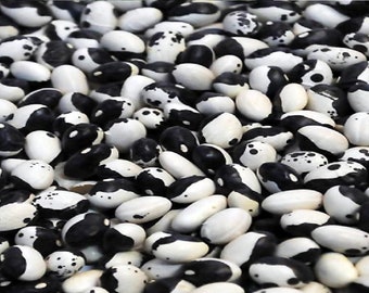 Yin Yang Beans - Etsy