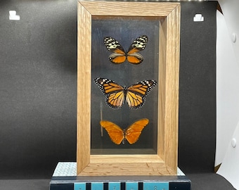 Shadow Box Double Glass - Etsy