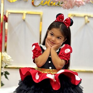 Minnie Dress Vs2 Red. Red Minnie Mouse Costume. Red Minnie Mouse for ...